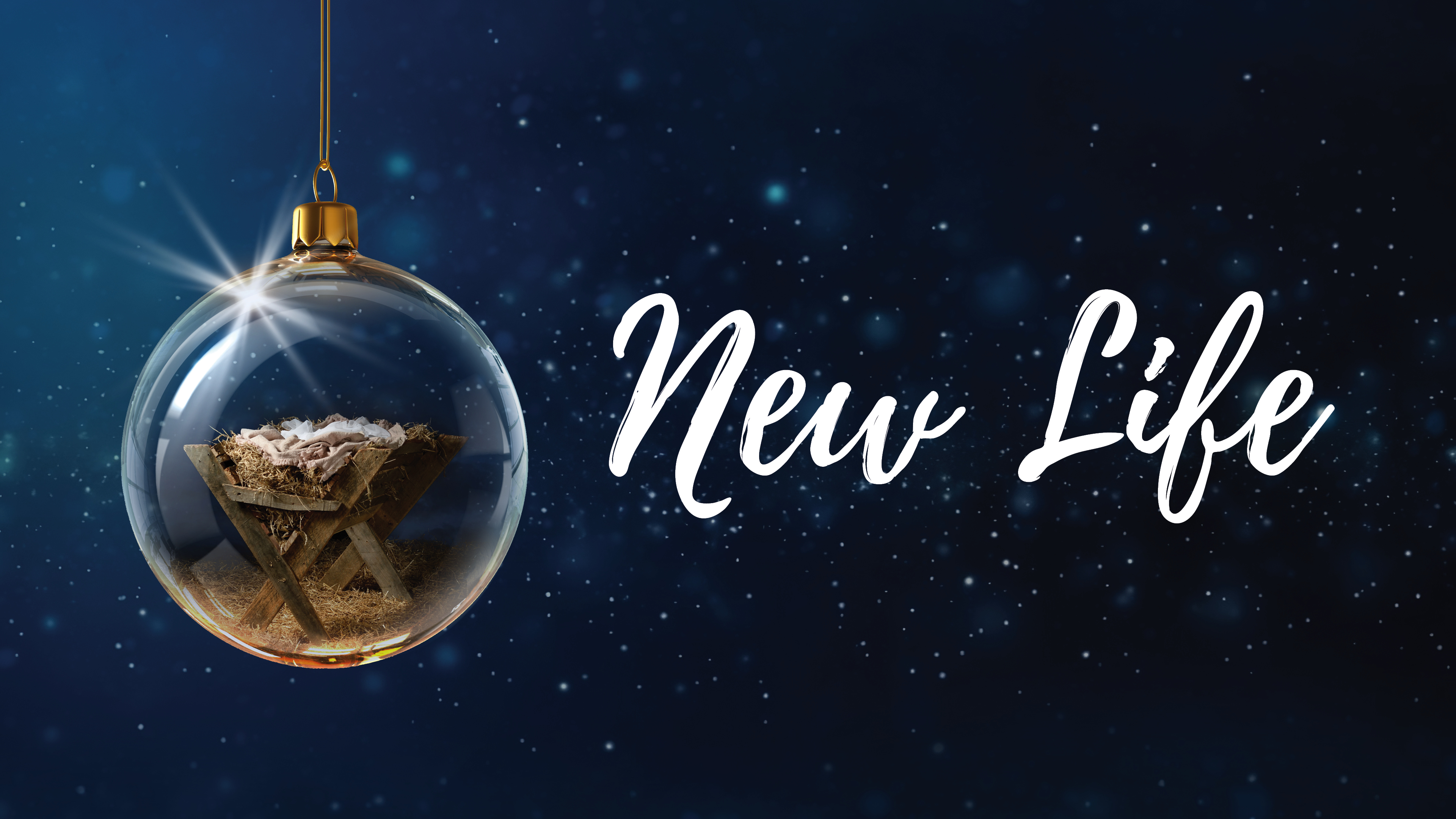 Creating New Life | Brookwood | Brookwood